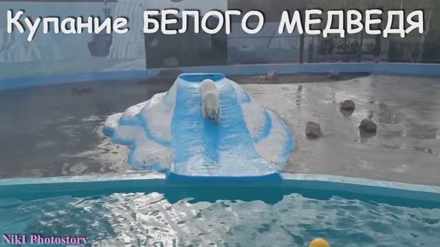 Музеи. Выставки. Виртуальные Экскурсии для вас!