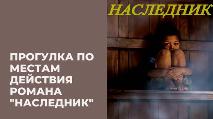 НАСЛЕДНИК. Книга первая