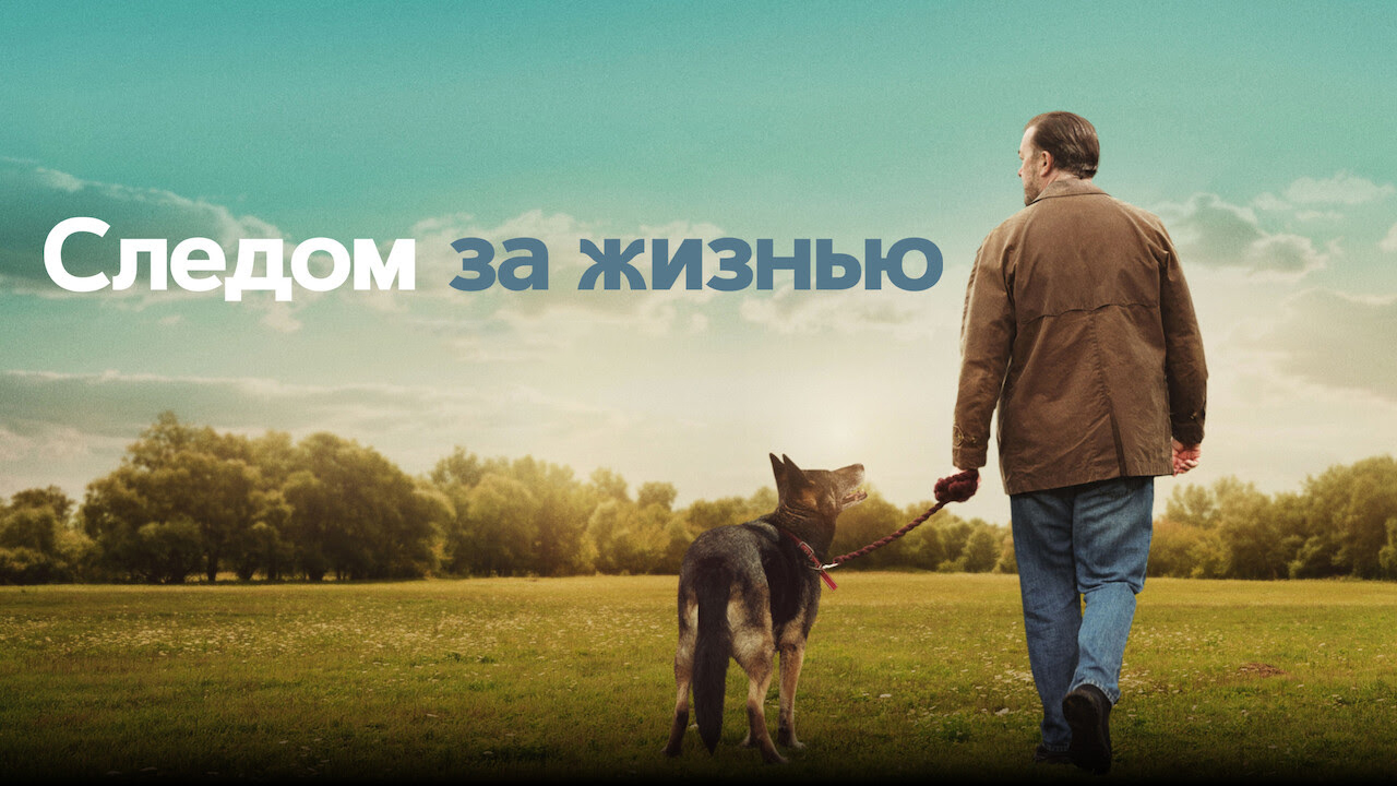 Следом за жизнью (сериал, 2019-2022)