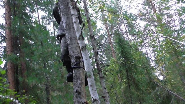 Наши похождения в тайгу, охота и промысел!