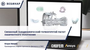 Ansys System Coupling: примеры применения, вебинары