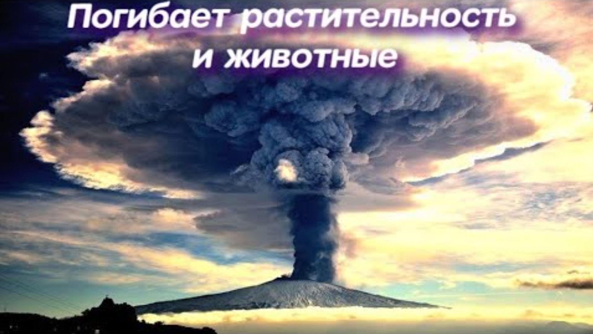 Извержение Вулканов - СЕГОДНЯ – смотреть онлайн все 2 видео от Извержение  Вулканов - СЕГОДНЯ в хорошем качестве на RUTUBE