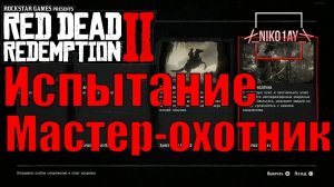 Red Dead Redemption 2 [Испытания]