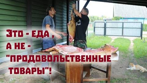 Гости в деревне