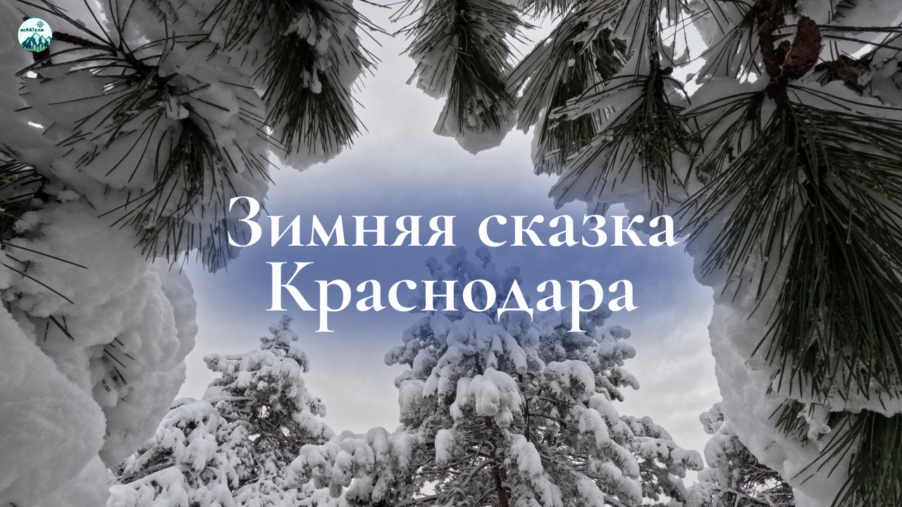 Краснодар – смотреть онлайн все 6 видео от Краснодар в хорошем качестве на  RUTUBE