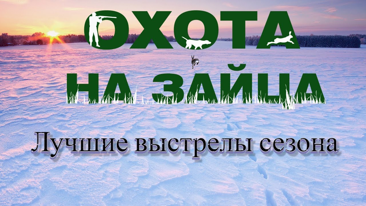 Охота сезона 2021-2022 года – смотреть онлайн все 24 видео от Охота сезона  2021-2022 года в хорошем качестве на RUTUBE