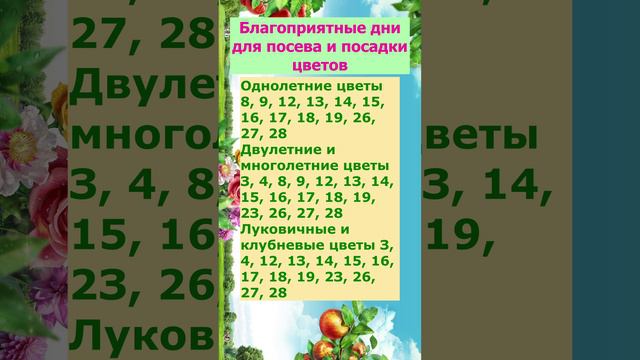 Все по лунному календарю на 2024 год   Праздничные и православные дни, Когда постица!