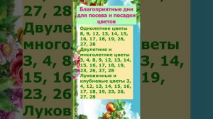 Все по лунному календарю на 2024 год   Праздничные и православные дни, Когда постица!
