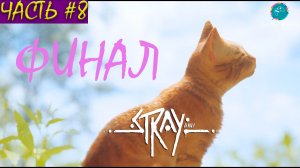 Прохождение Stray