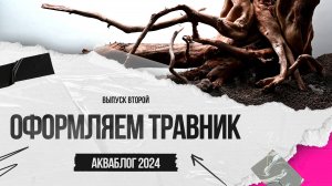 Акваблог 2024