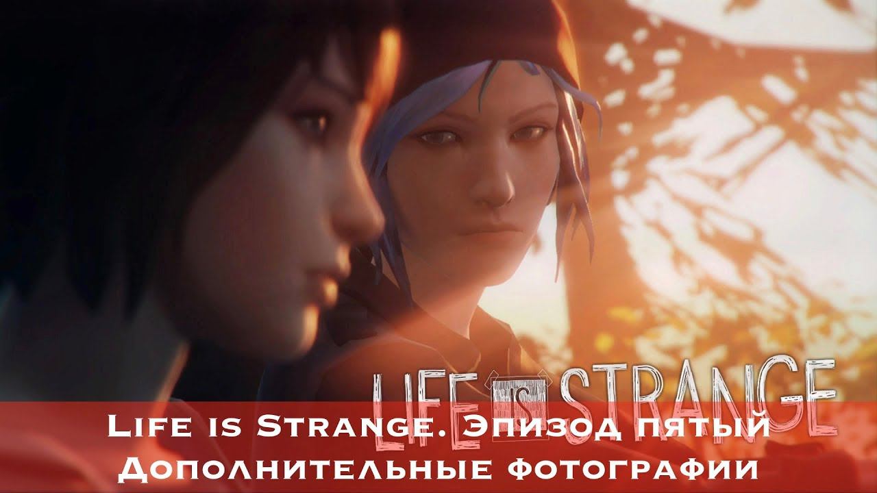 Life is Strange — Все коллекционные предметы