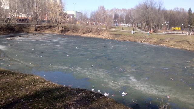 Лед не озере еще не растаял Чайки летают в поиске добычи