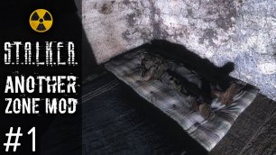 ☢ S.T.A.L.K.E.R.: Another Zone Mod (2016)