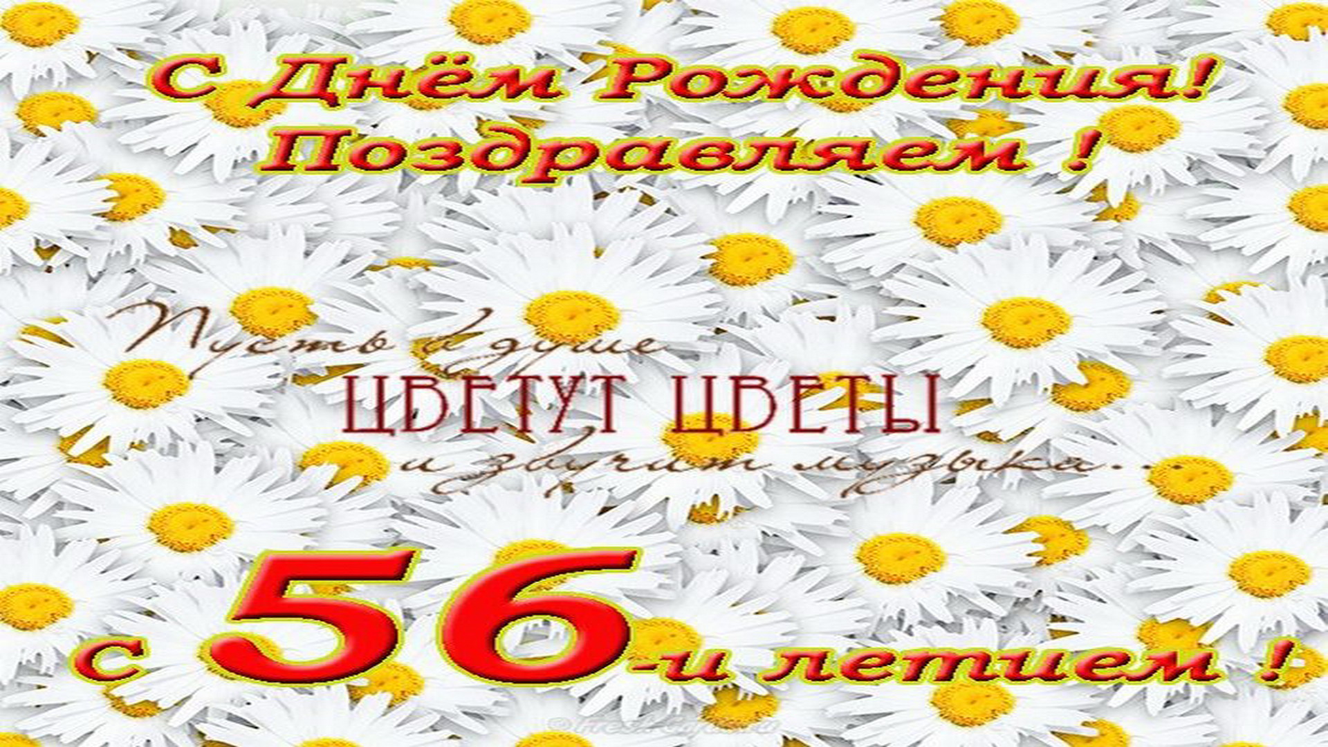 Картинки с днем рождения 56 лет