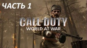 CALL OF DUTY WORLD AT WAR