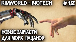 RimWorld - обзор и прохождение лучшего симулятора колонии с дополнениями Biotech, Ideology и Royalty