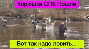 Новости с водоемов СПб и Лен. Обл