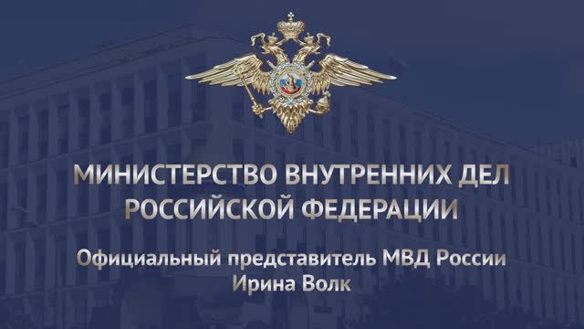 Комментарии Официального представителя МВД России Ирины Волк