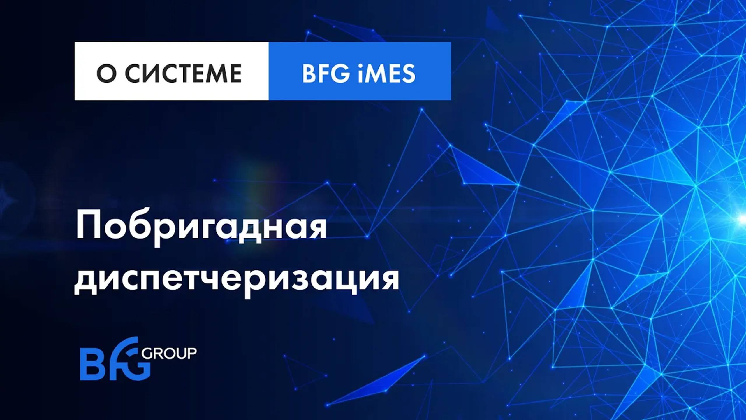 Обзор функциональных возможностей продуктов BFG