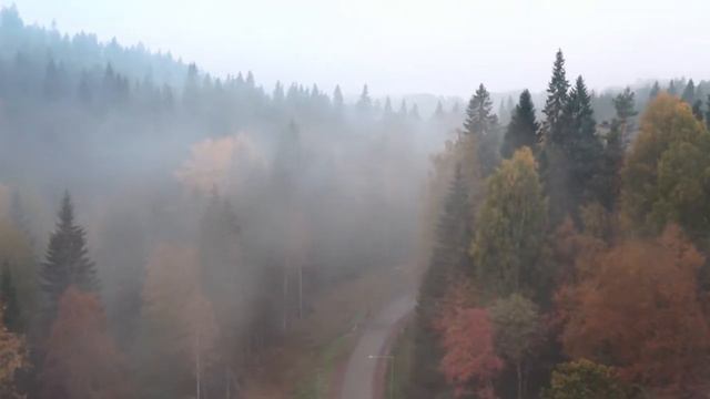 Академия практической Аюрведы