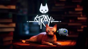 Stray