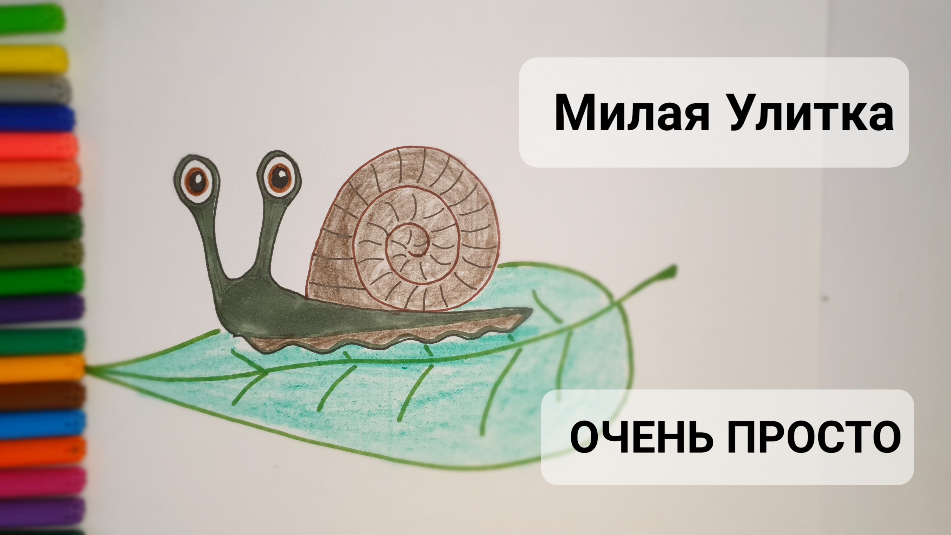 Книжная полка