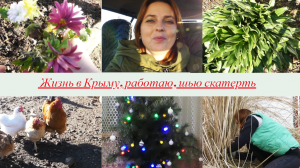 Наша жизнь в Крыму