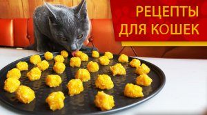 Рецепты для кошек