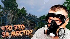 Stalker Контракт на хорошую жизнь