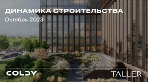 Динамика строительства TALLER