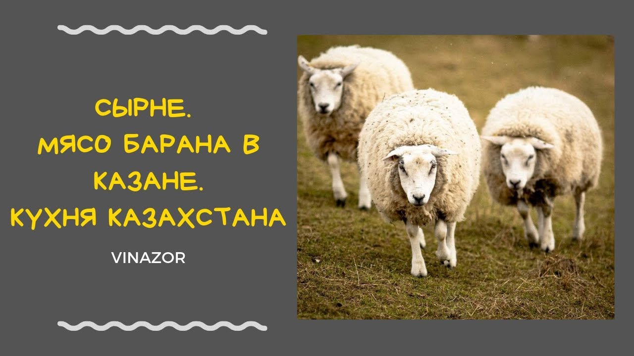 Блюда из баранины – смотреть онлайн все 1 видео от Блюда из баранины в  хорошем качестве на RUTUBE