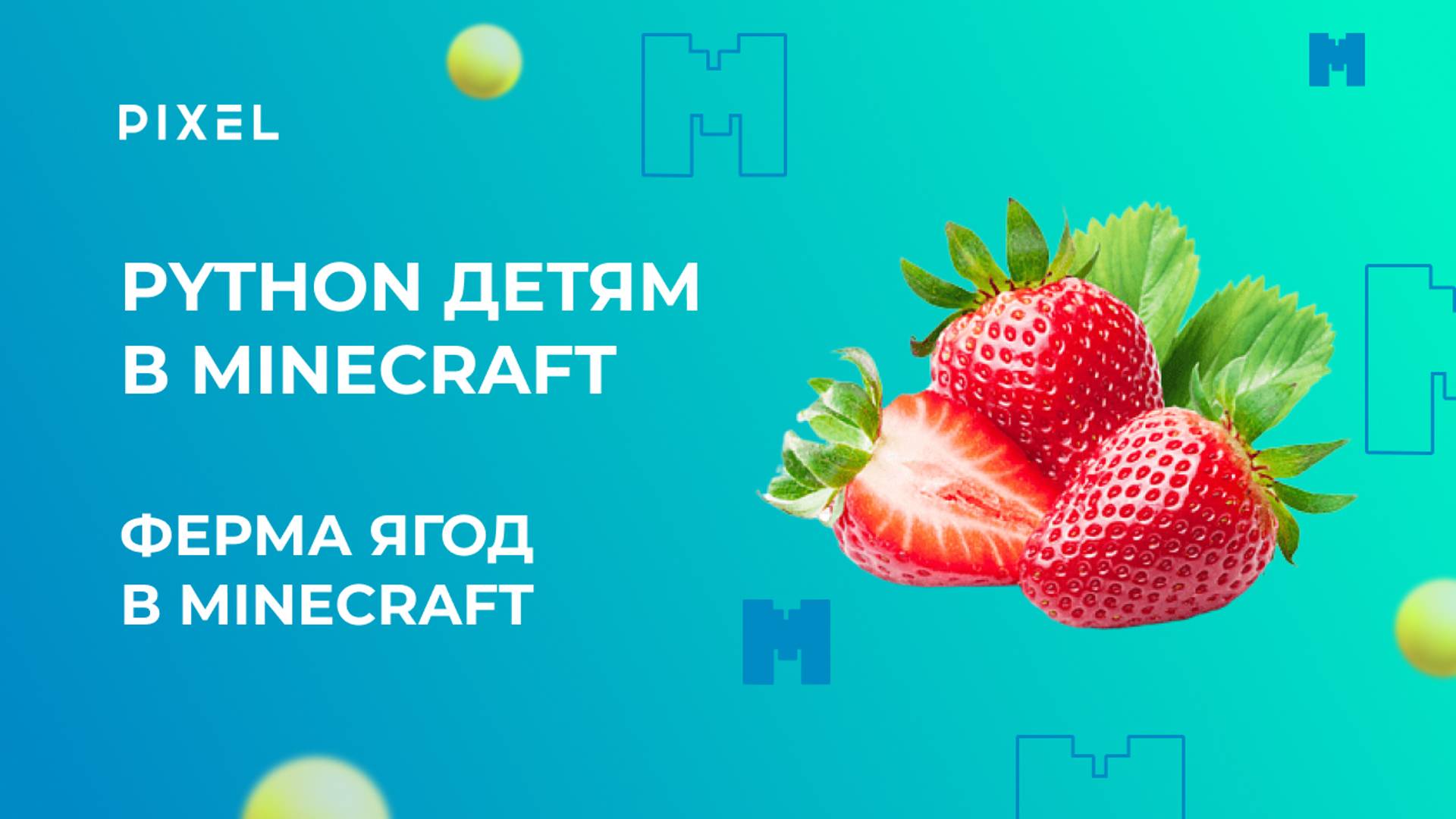 Не знаешь как сделать своего ребенка усидчивым? Закажи муравьиную ферму и это гарантировано!