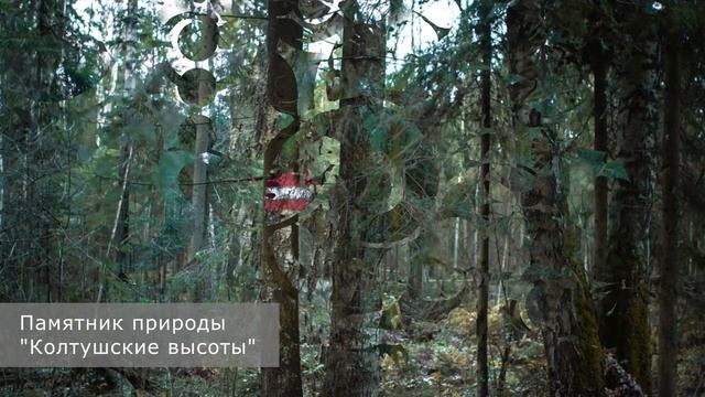 Аудиогиды по ООПТ Ленинградской области