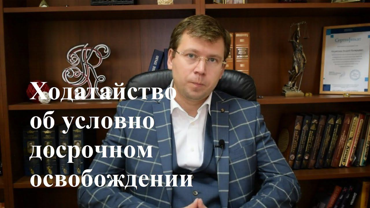 Уголовные дела: адвокат по уголовным делам
