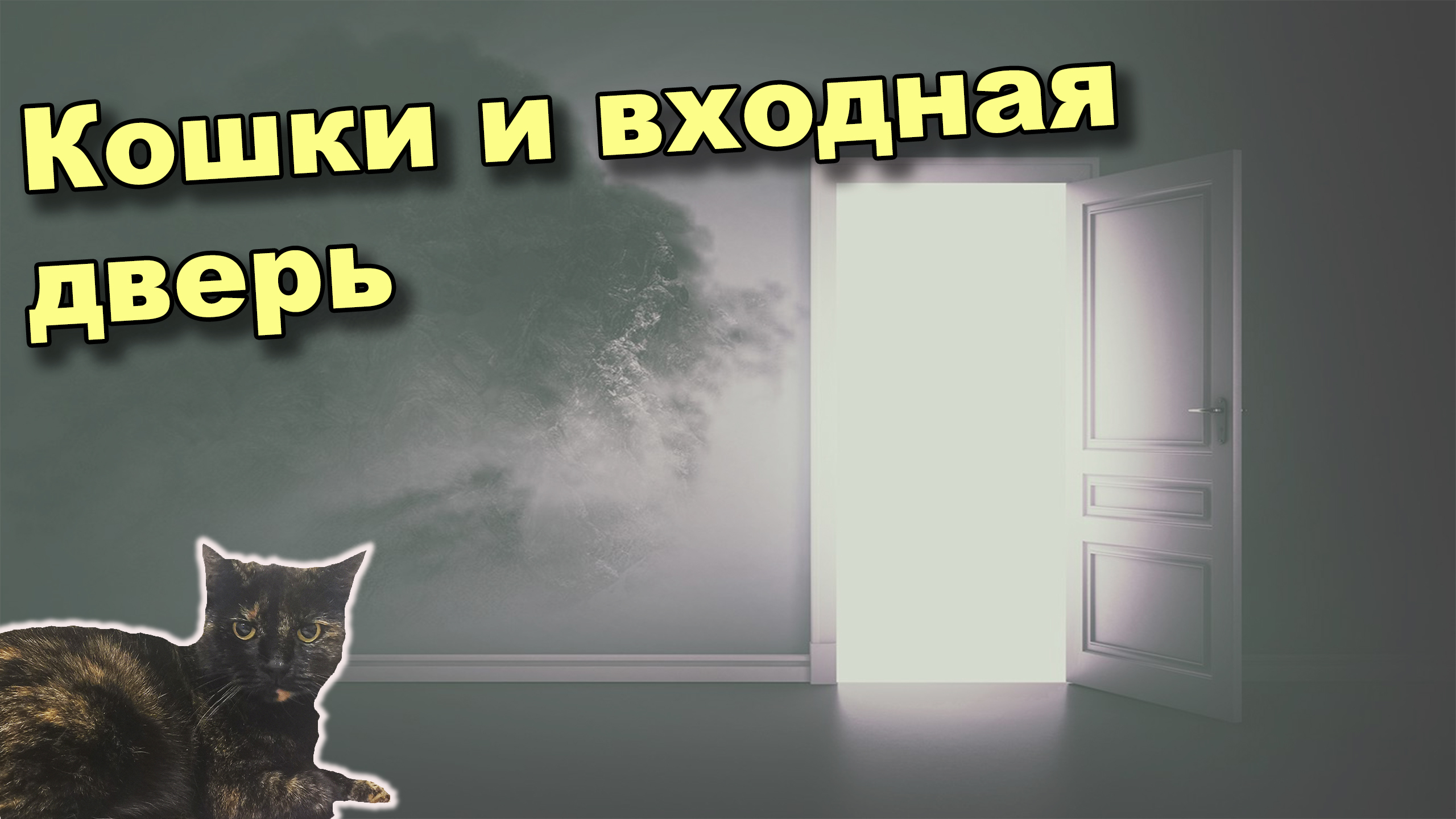 Кошка Хлоя – смотреть онлайн все 13 видео от Кошка Хлоя в хорошем качестве  на RUTUBE