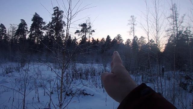 Ориентирование на местности в зимний период