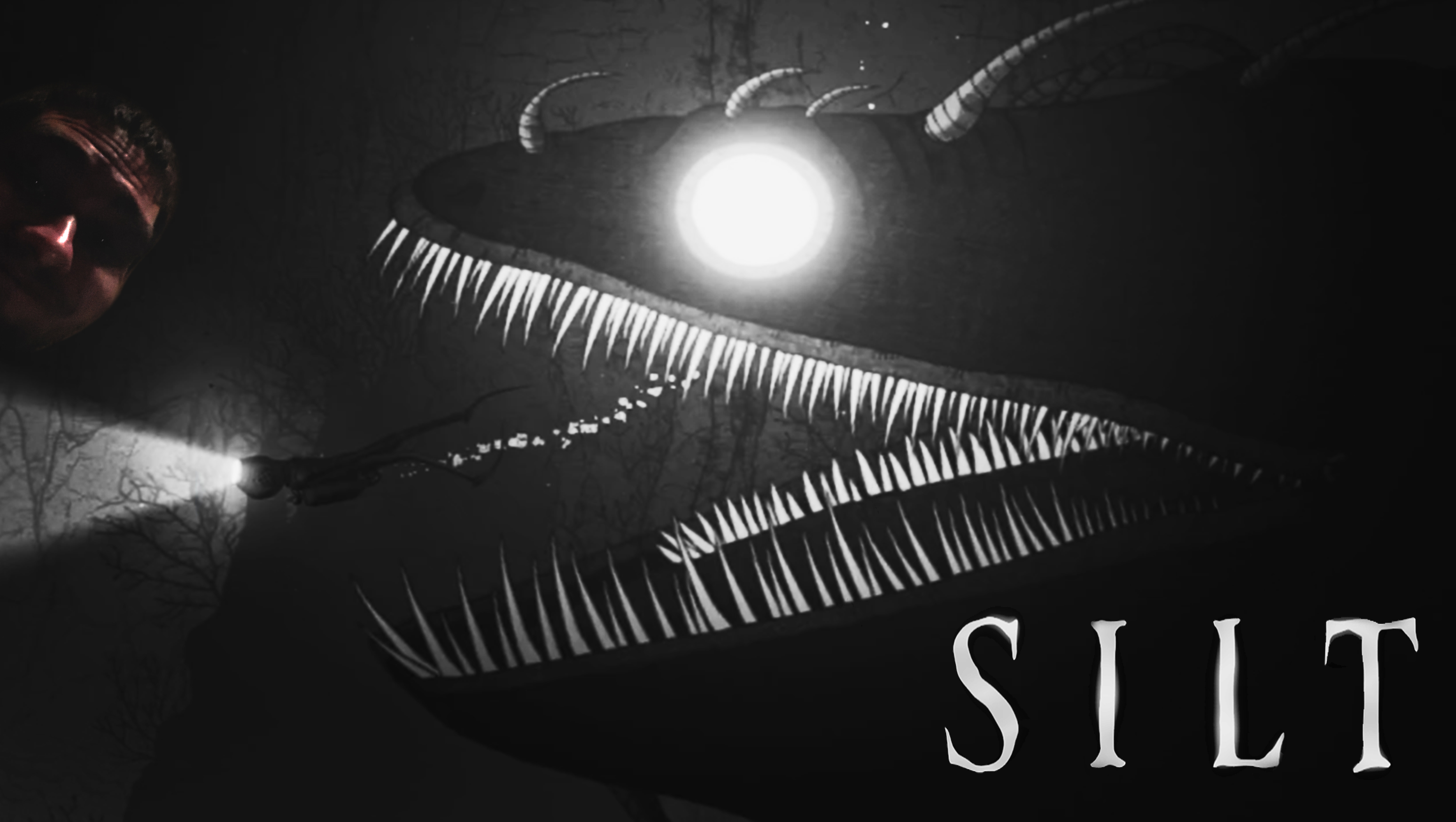 Silt