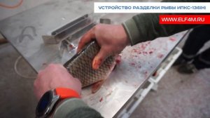 Нарезка рыбы и других пищевых продуктов ИПКС