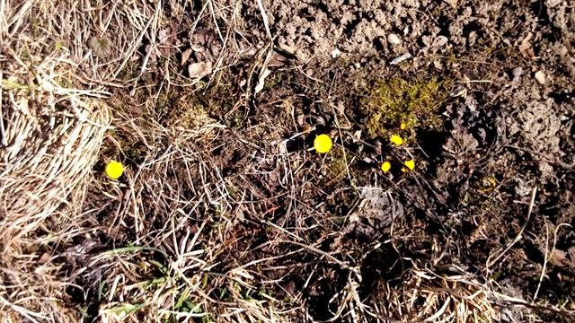 5 ноября в деревне Соколово Верещагинского округа пройдёт фестиваль старинного рукоделия 