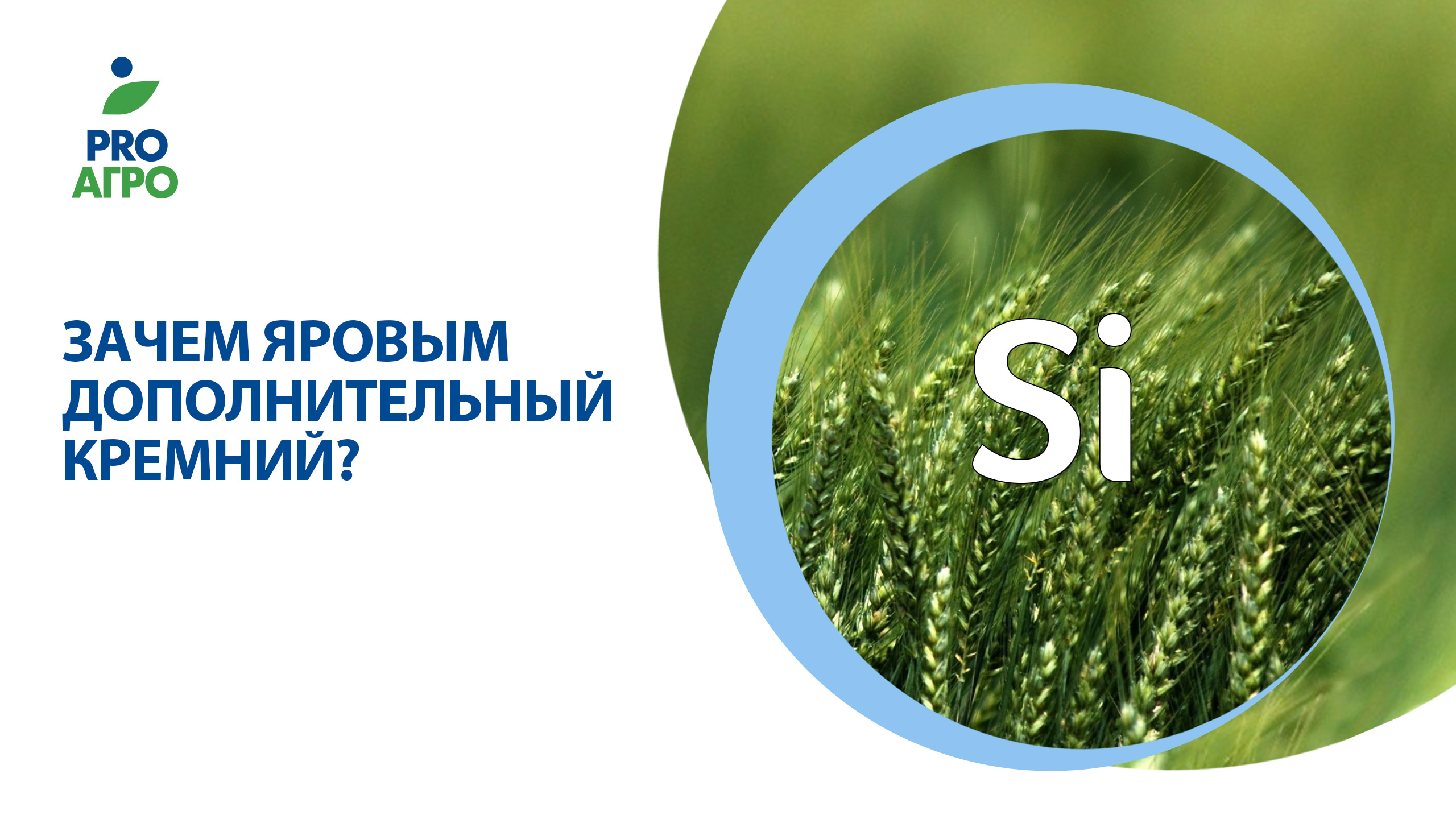 3 эффективных препарата для обработки семян яровых культур – смотреть  онлайн все 5 видео от 3 эффективных препарата для обработки семян яровых  культур в хорошем качестве на RUTUBE