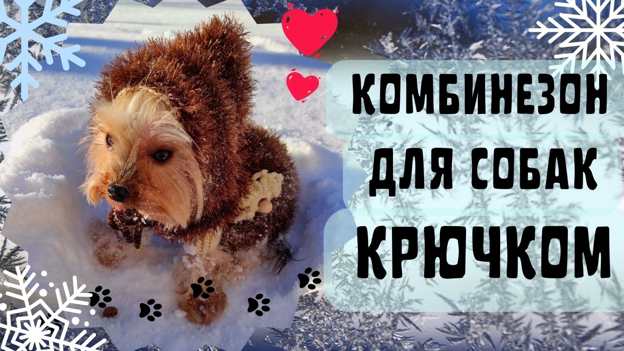 Купить комбинезон для собак WAUDOG Clothes с рисунком 