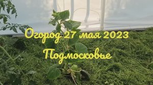 Огород в Подмосковье