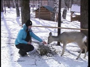 Экспедиция. Золотое кольцо Кузбасса