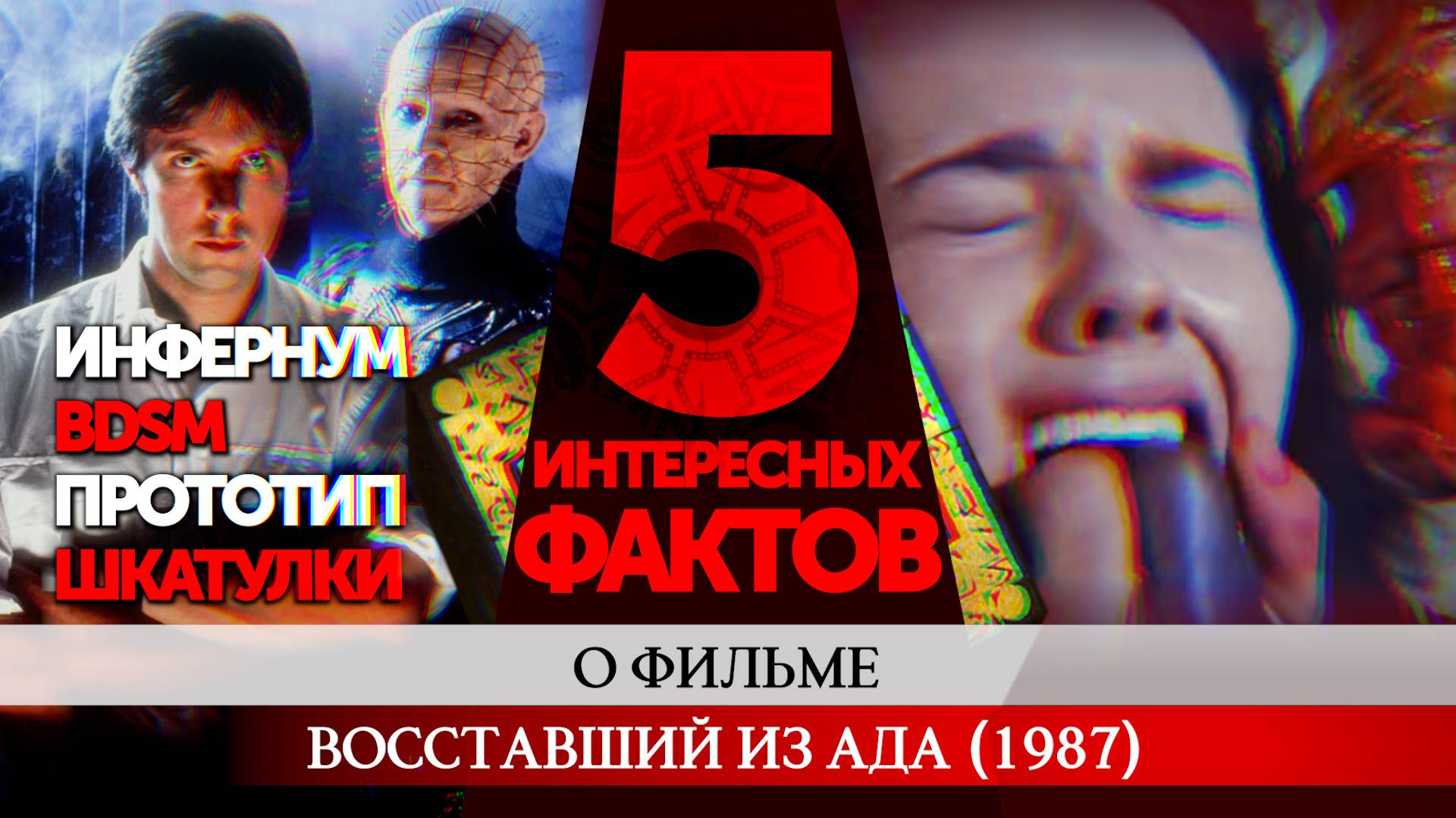 5 ФАКТОВ