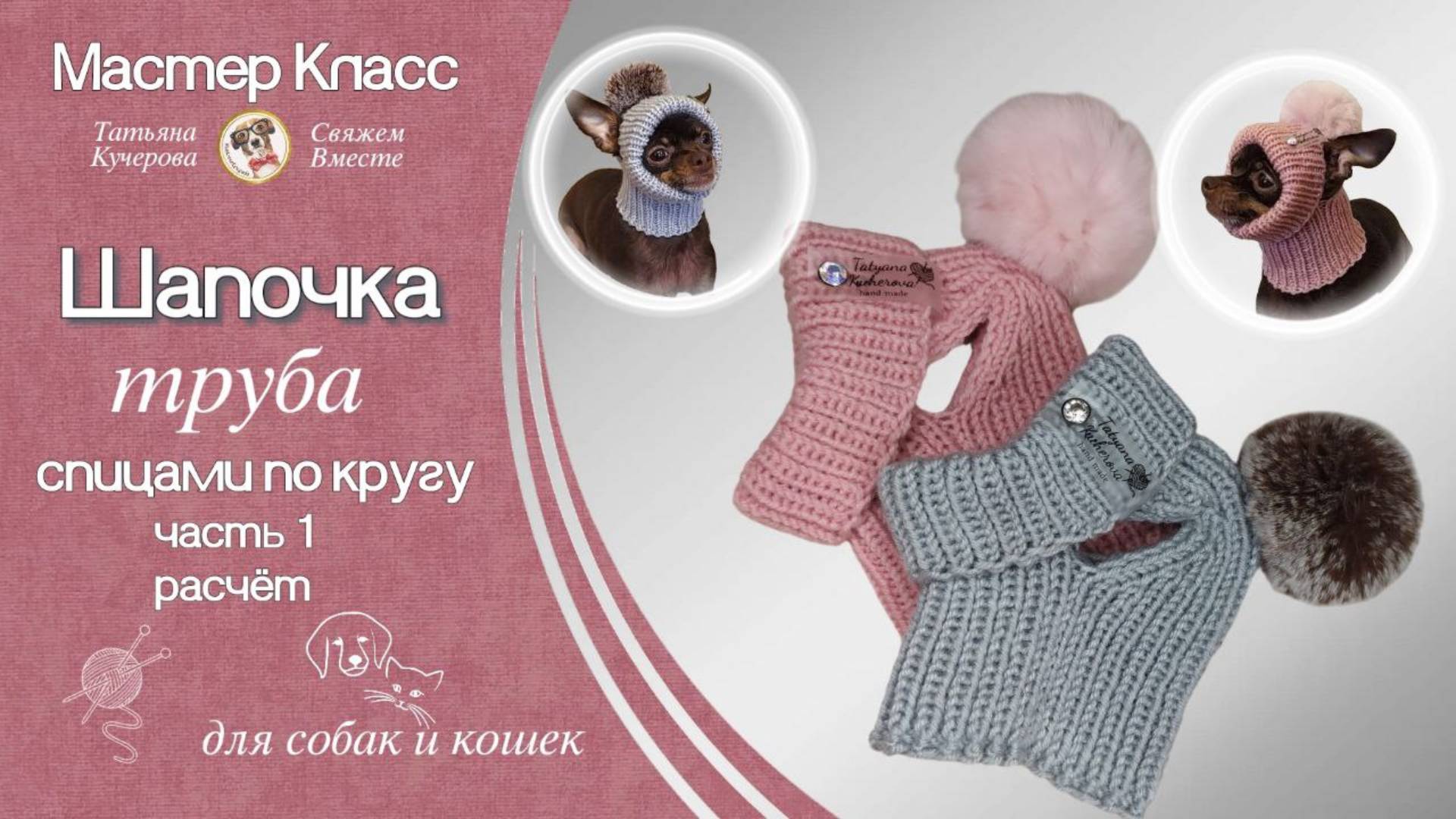 Из какой пряжи связать одежду для питомца?