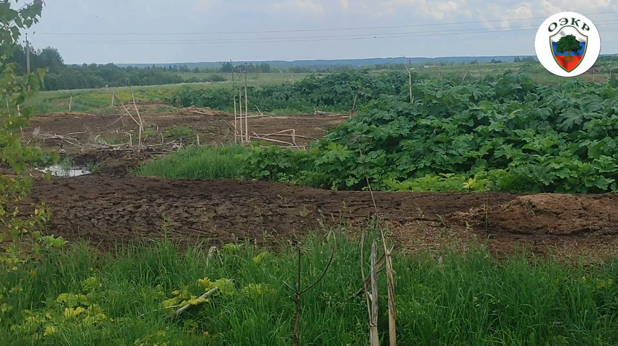 Череповецкий район