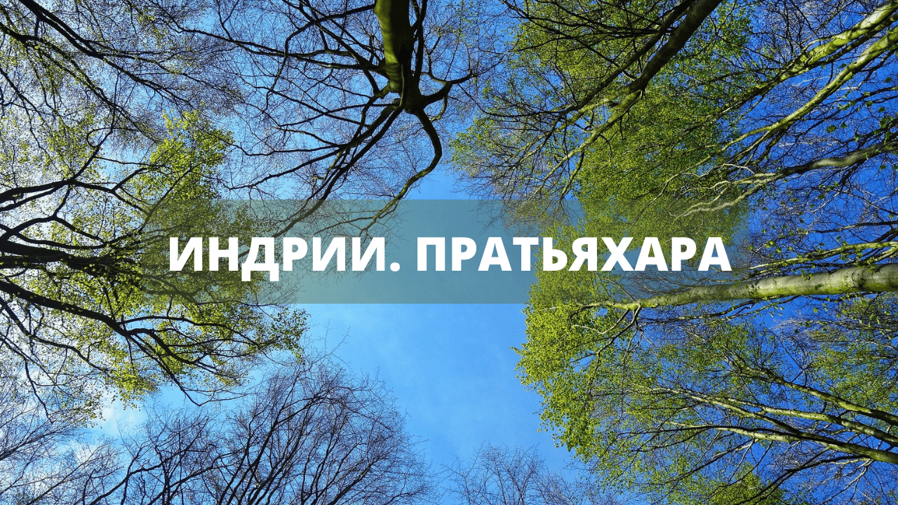 Практика