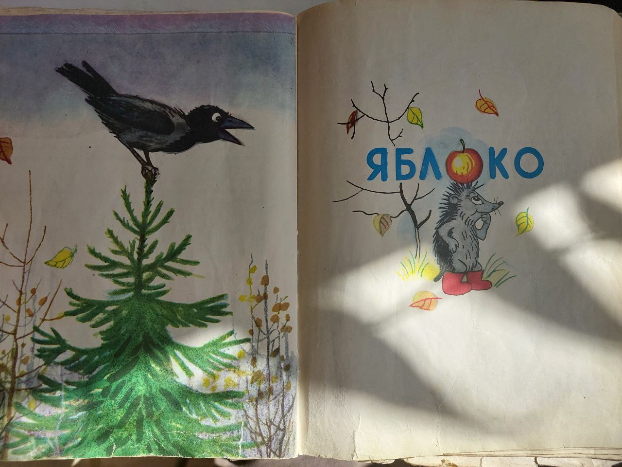Иллюстрации к сказке сутеева елка