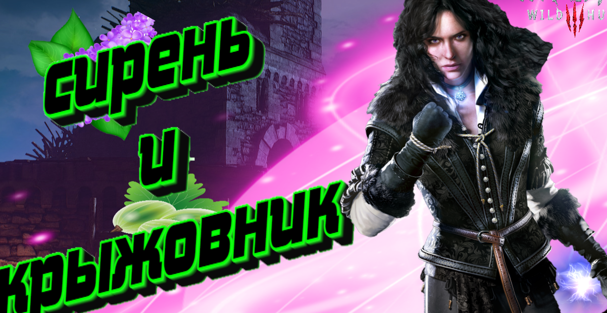 Прохождение The Witcher 3_Wild Hunt на PS 4