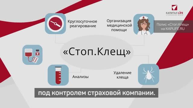 Страховые продукты